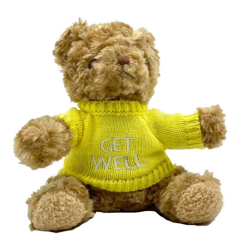 Get Well Teddy – Healthy Hampers